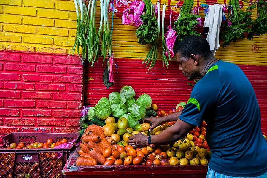 Import Substitution: “Local Fruits And Veggies Can…