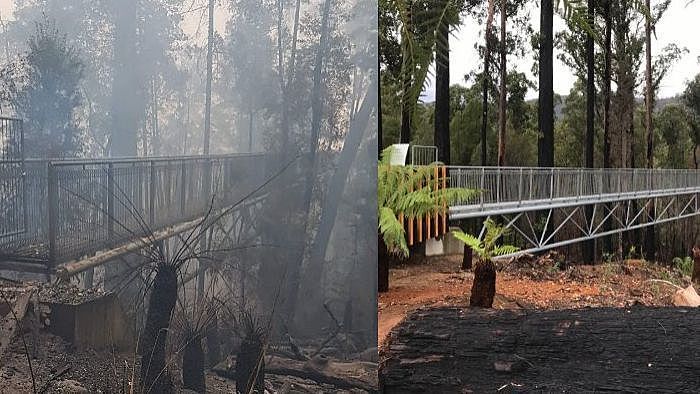 Before and after: Pictures show bushfire recovery at…