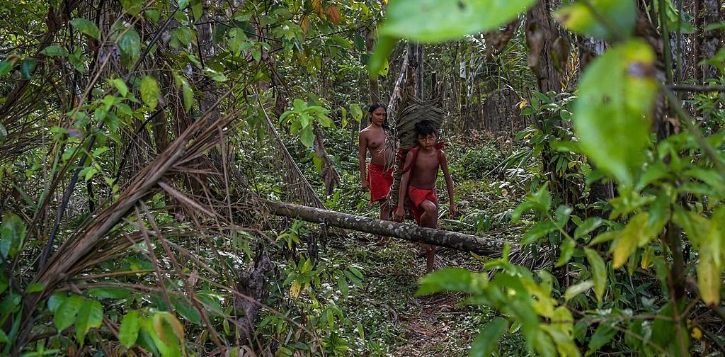 Indigenous people may be the Amazon's last hope