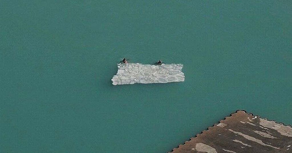 ‘Boxing on an iceberg’: Video captures workout on…