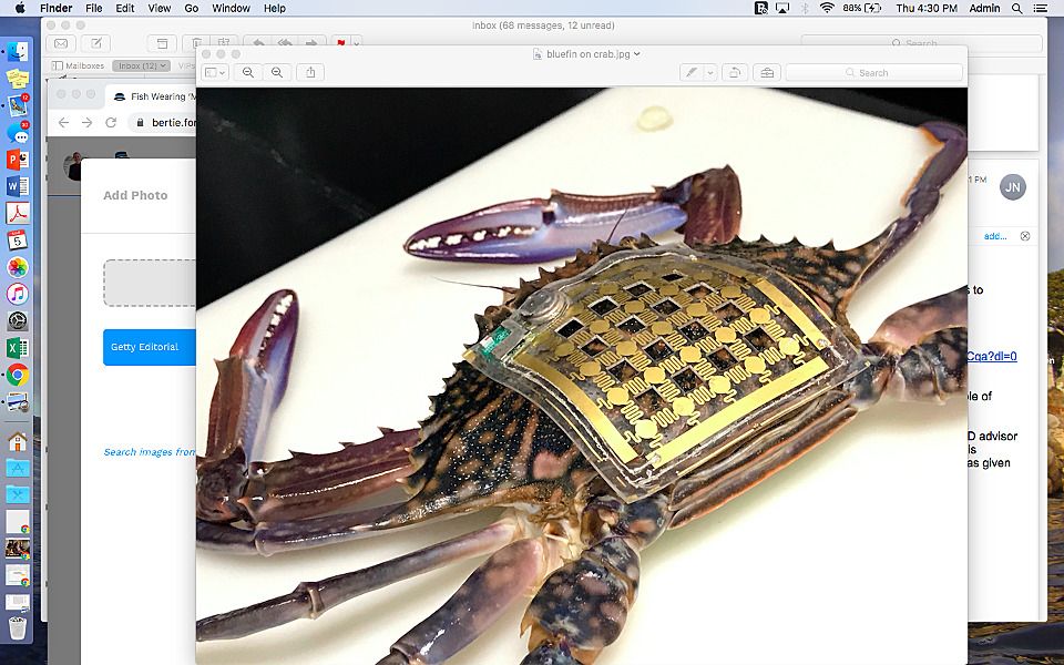 Fish Wearing ‘Marine Skin’ Sensors Collect Information…