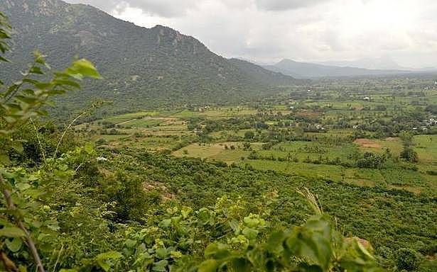 Plan to promote Kalvarayan hills as tourist destination