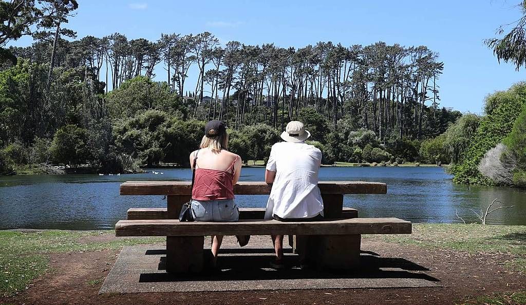 Tree wars: Western Springs pines' fate to be decided…