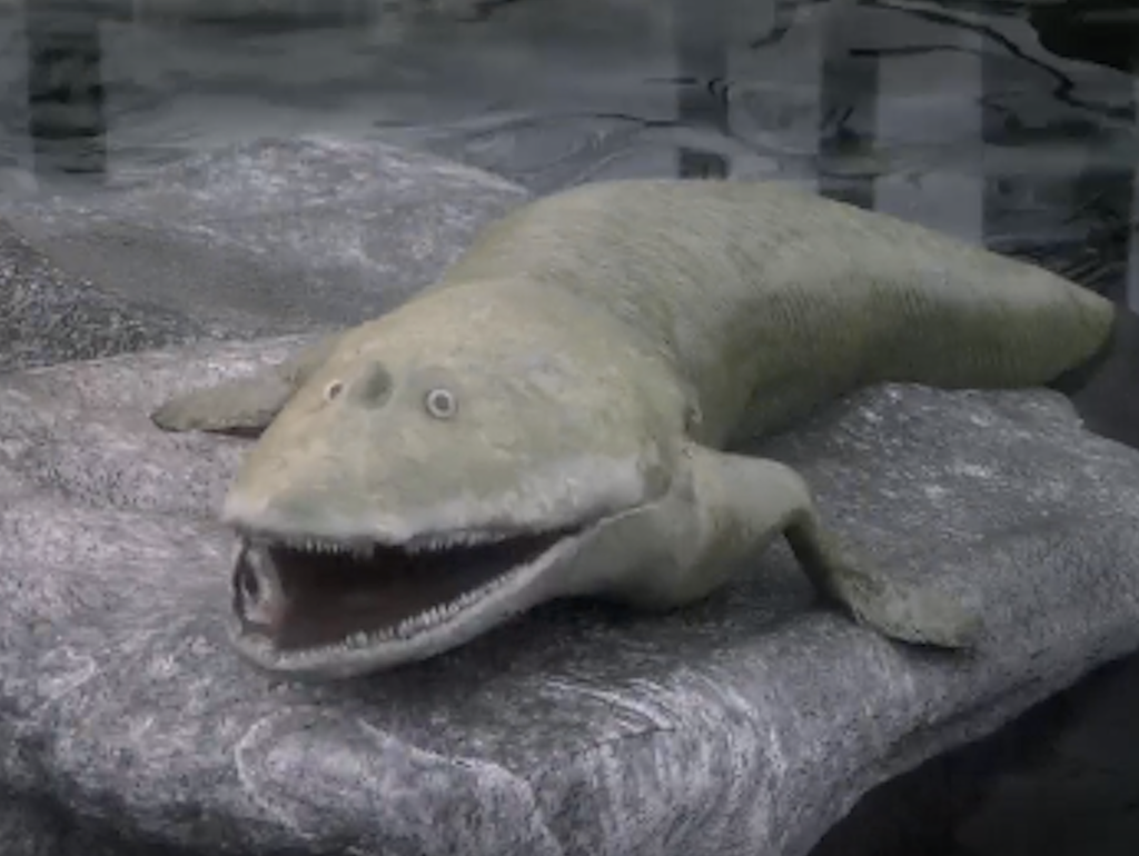This ancient fish with arms might be the reason you…