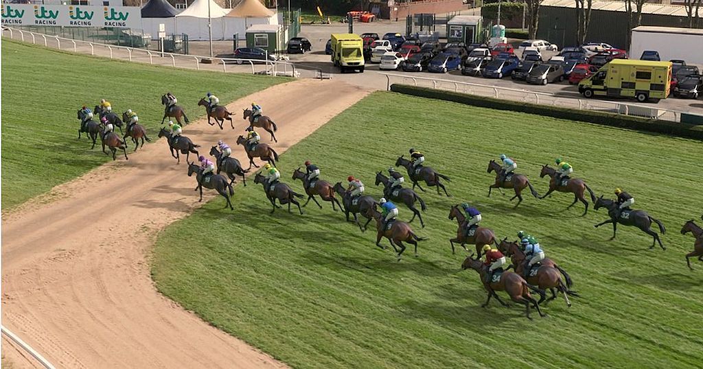 Virtual Grand National 2020: How it works, sweepstake…