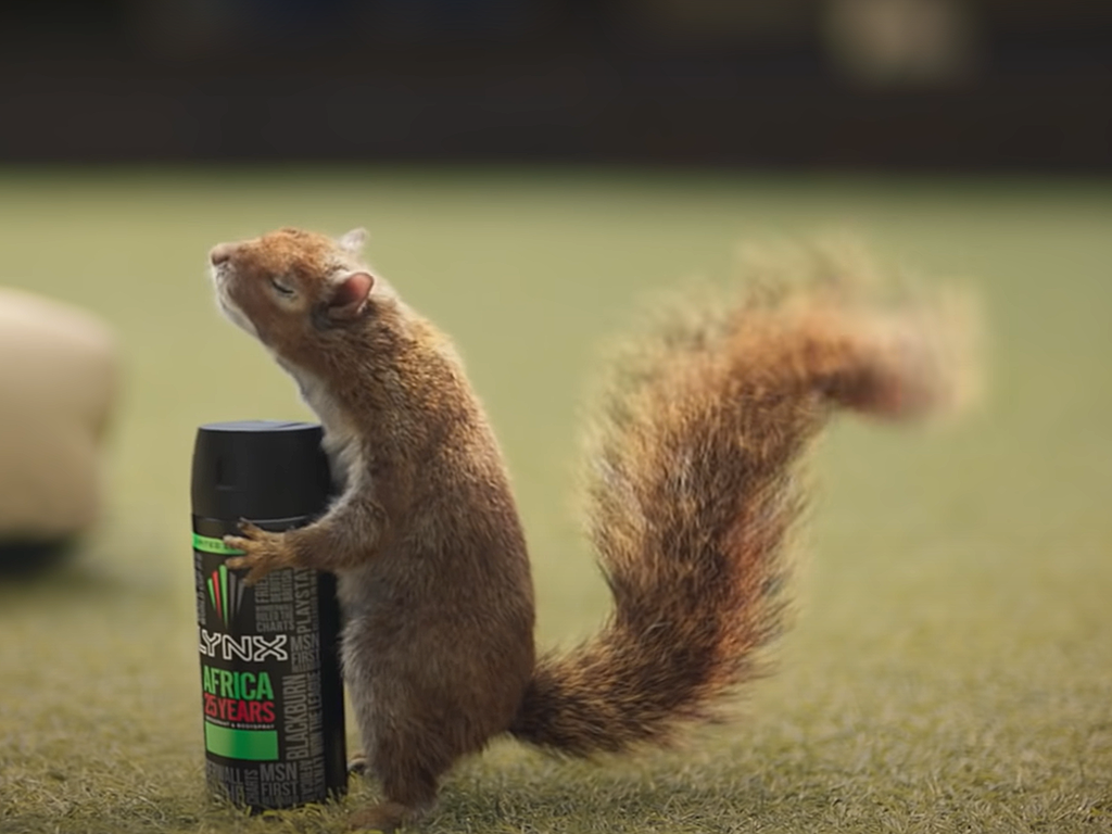 ITV viewers outraged by advert showing squirrel…