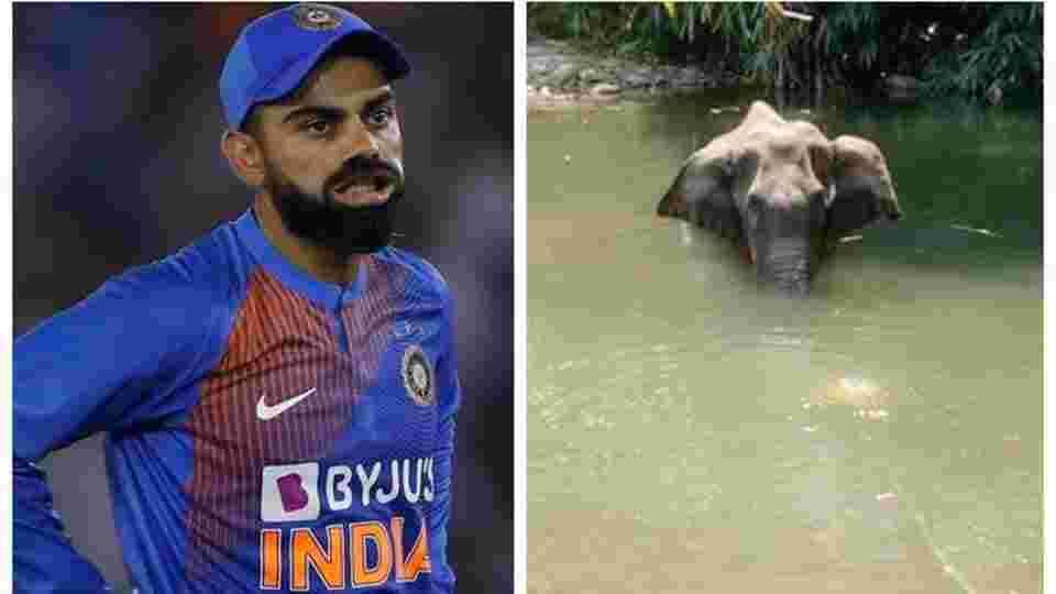 ‘Only a monster can do this’: Virat Kohli, Sunil…