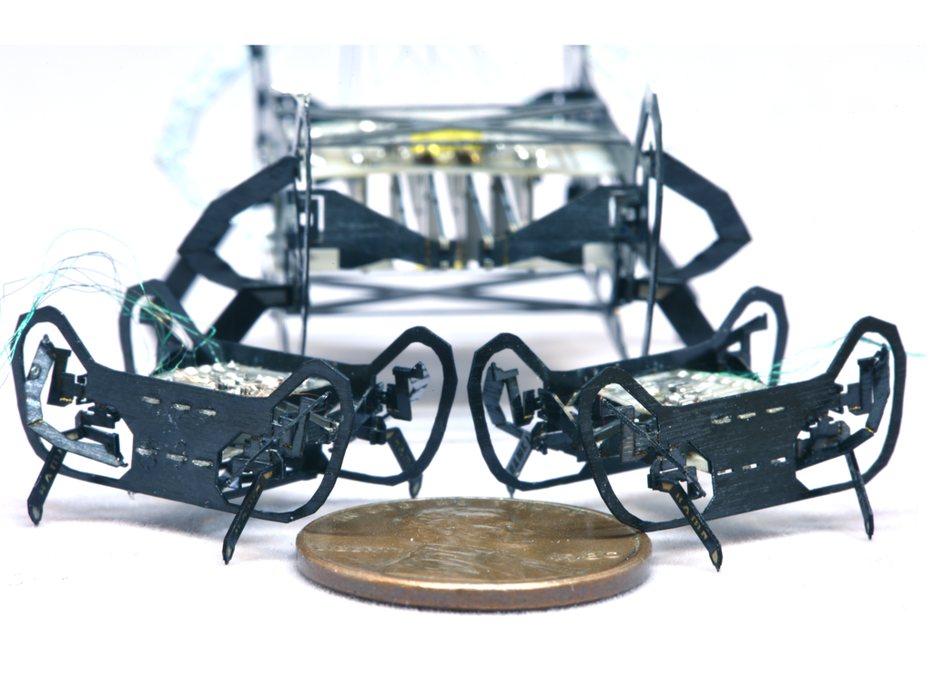 Harvard builds tiny microbot that's the size of a penny