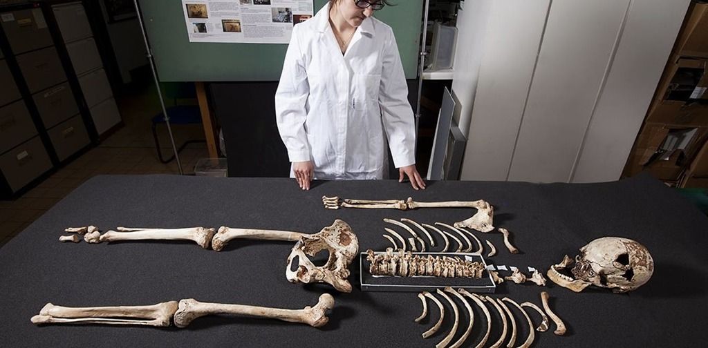 Who owns the bones? Human fossils shouldn't just…