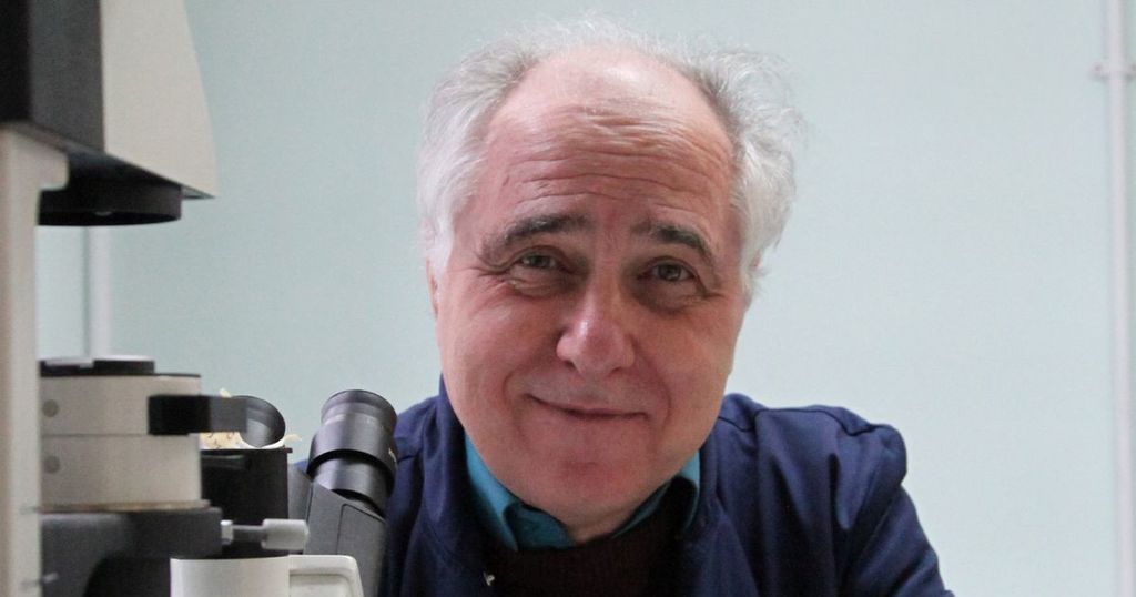 Scientists grow first-ever human embryo in huge…