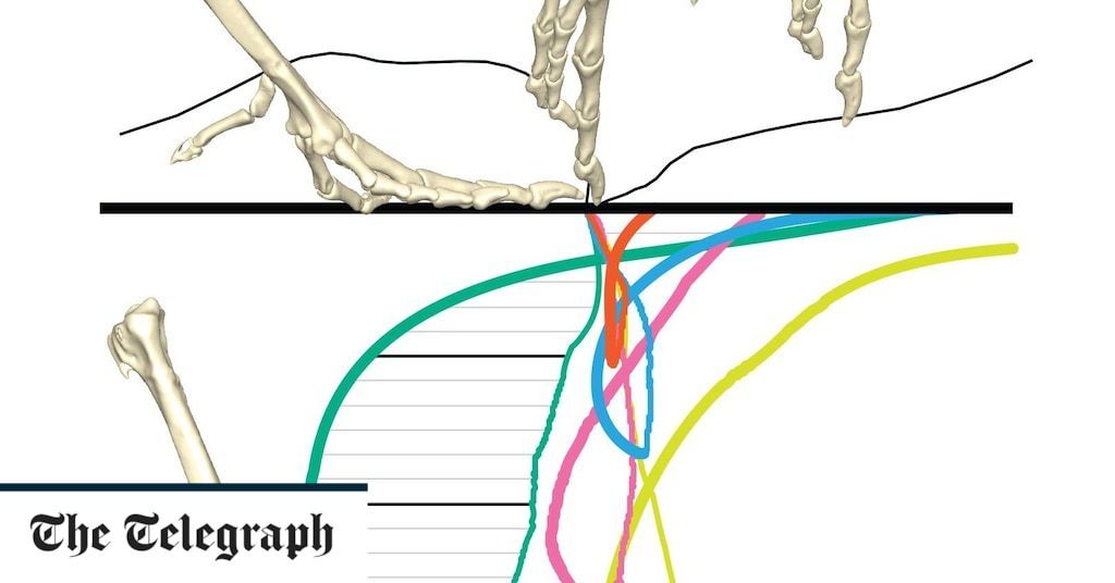 Three-toed dinosaurs from the Early Jurassic period…