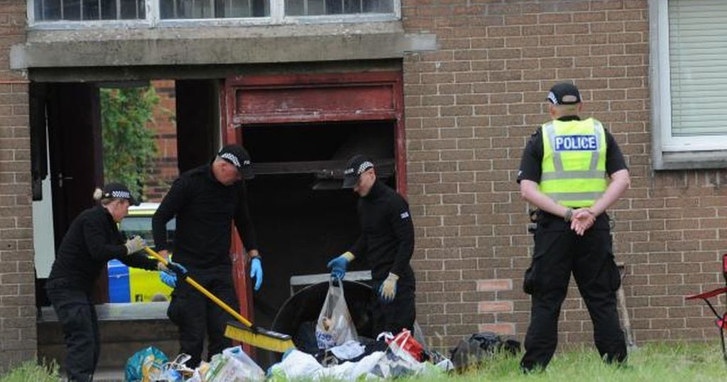 Paisley cops search bins and drains at murder flat in…
