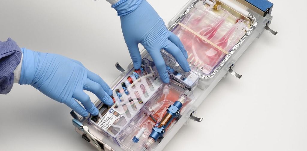 Why are scientists trying to manufacture organs in…