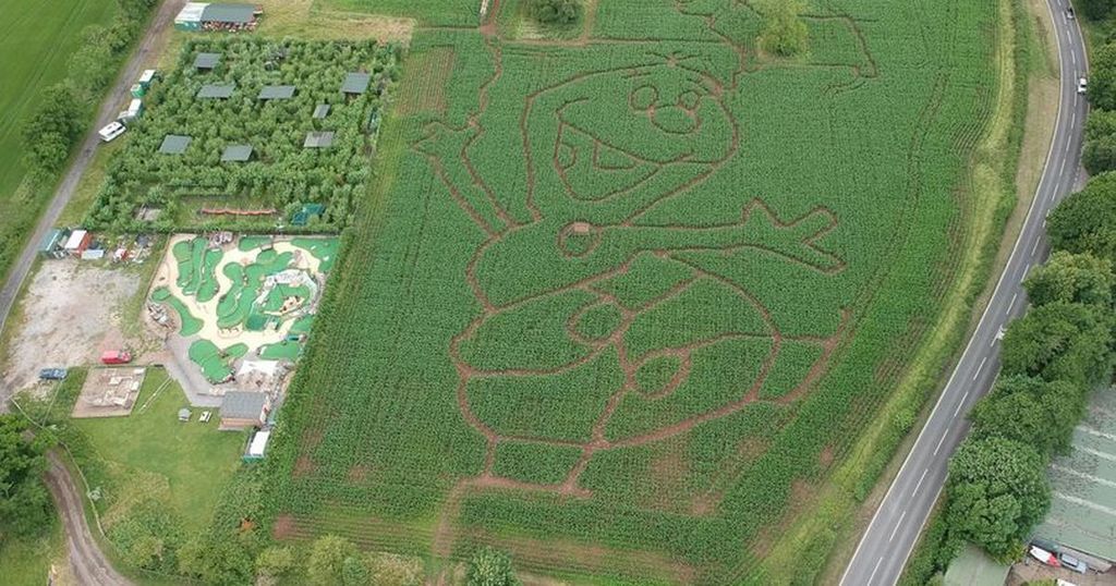 Massive maze attraction opening in Gloucestershire…
