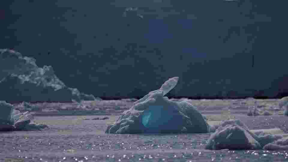 Warming waters drive unprecedented algal blooms in…