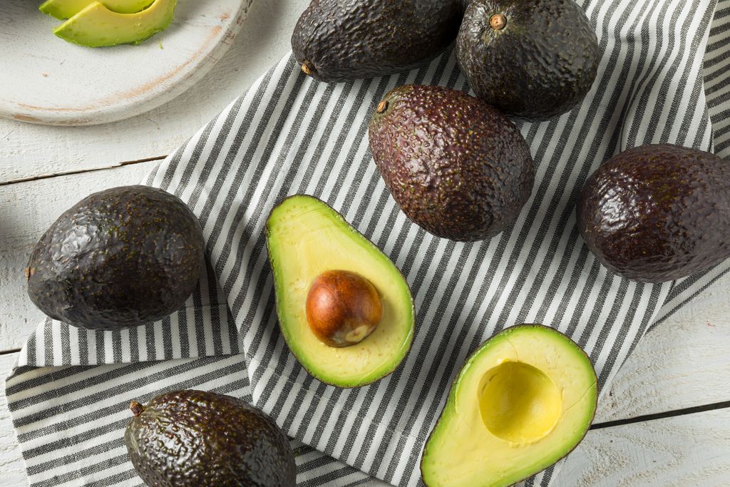 Avocados should be extinct, not ubiquitous. Here's how…