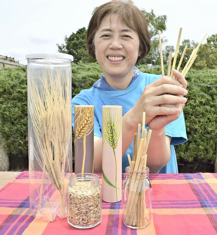 Straws made of barley stalks developed by a designer…