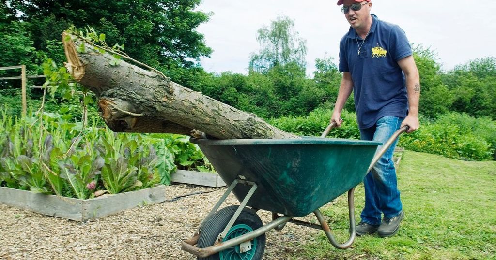 Former community farm in Castlehill could be about to…