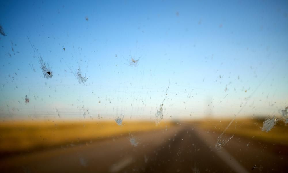 Why a lack of squished bugs on the windscreen is a…